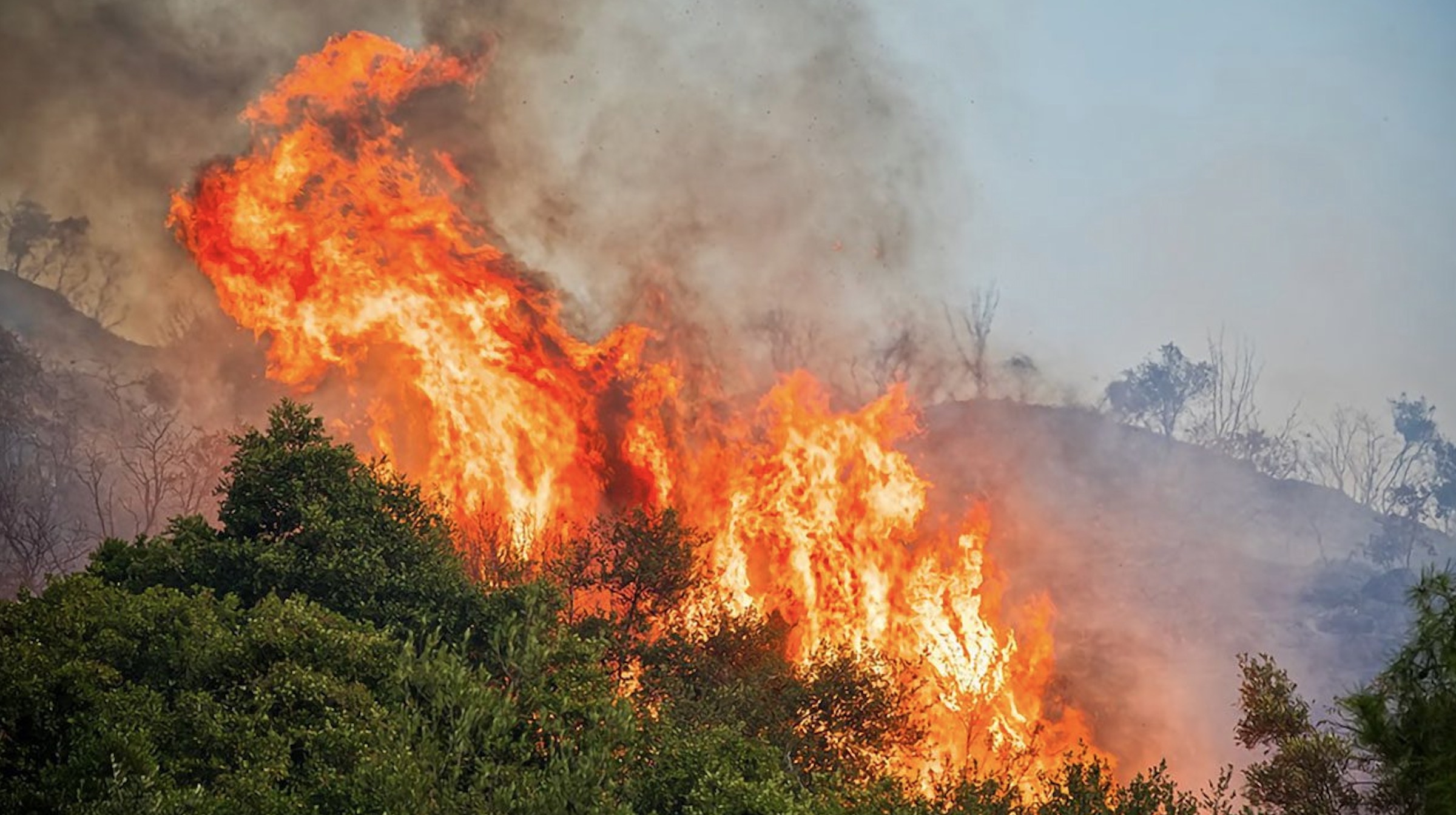 Sicilia consumata dagli incendi: 19 nelle ultime ore, è bollino rosso ...