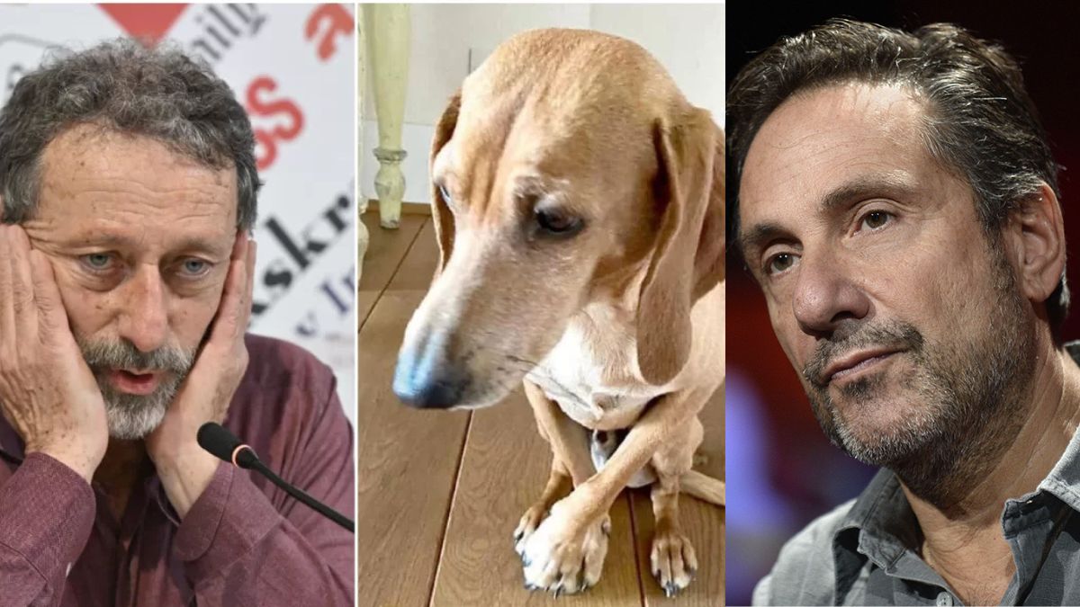 Il cane di Michele Serra sbranato, l’affondo di Mario Tozzi: “Spiace ...