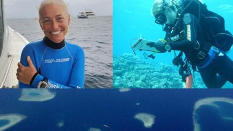 Maldive, i 5 sub morti per “overconfidence”: dalle bombole al corridoio ...