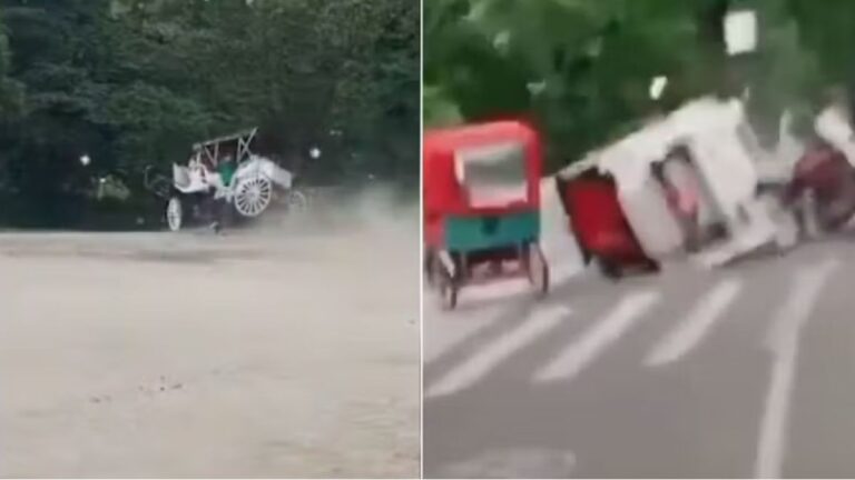 Cavallo impazzito in piena città: colpisce giovanissimo che muore. Il ...